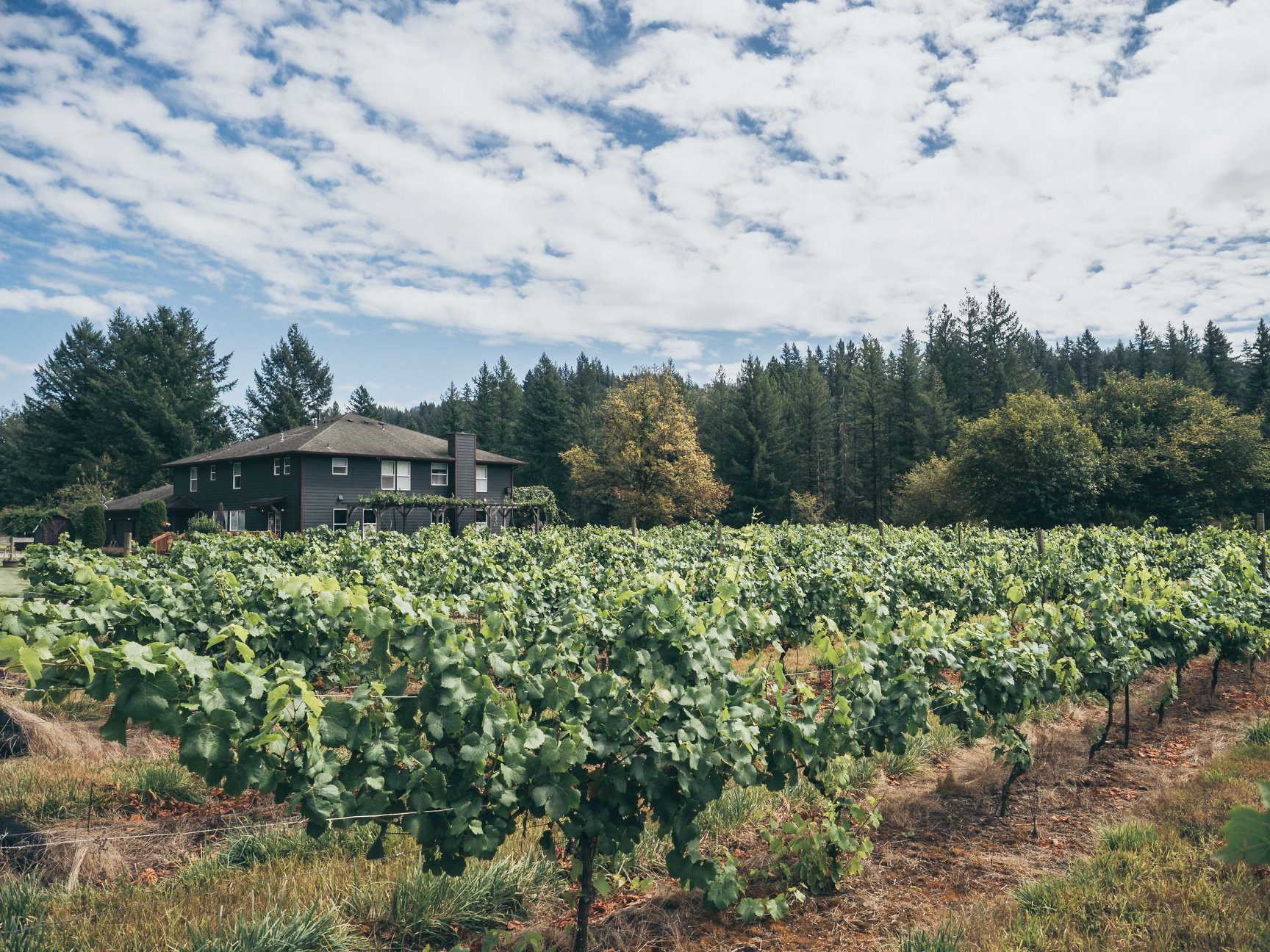2013 Vintage Overview - Washington State Wine Commission