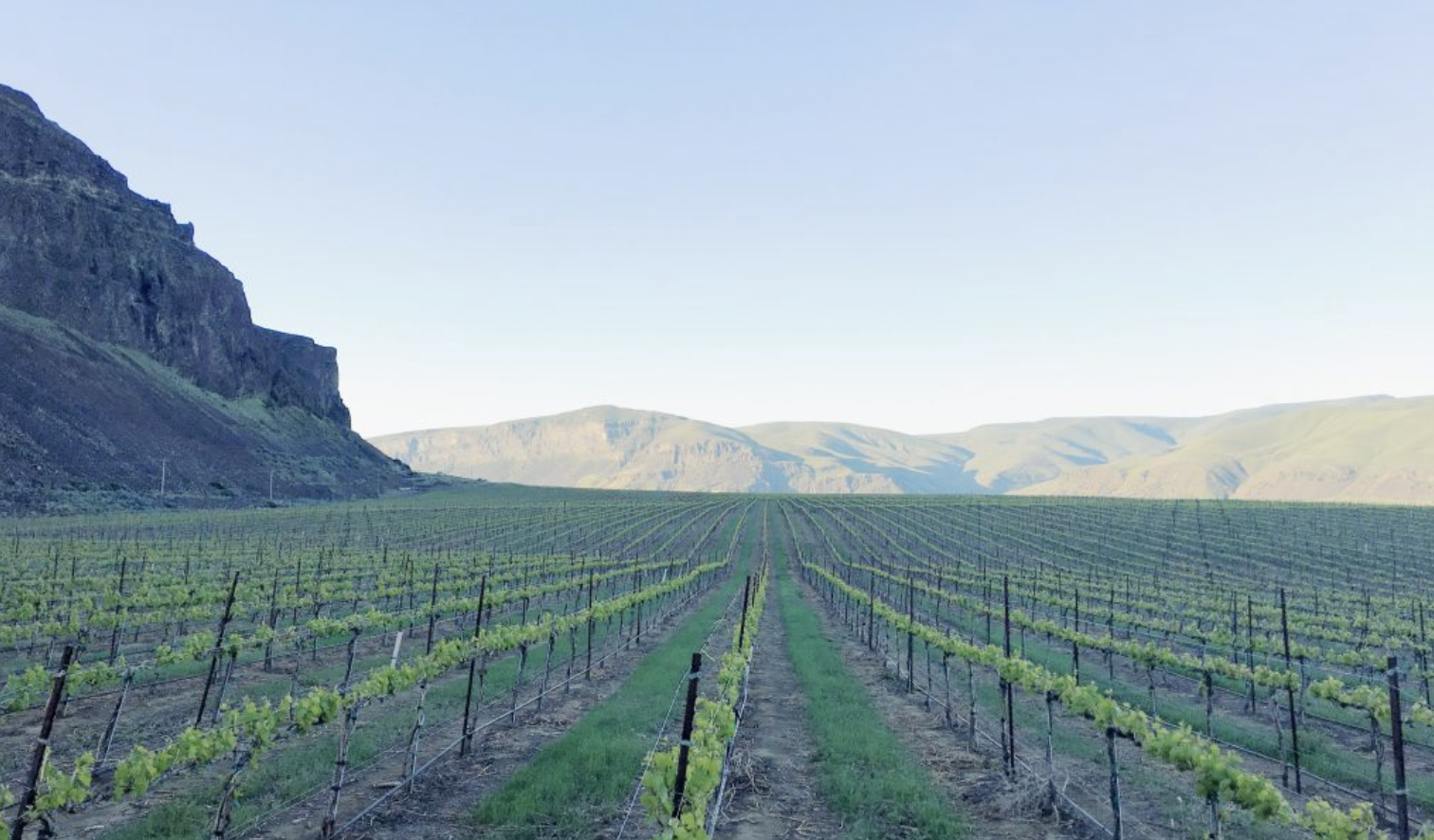 Ancient Lakes of Columbia Valley AVA - Washington State Wine Commission