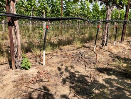 New Potential for Enhancing Irrigation Efficiency by Dr. Pete Jacoby ...
