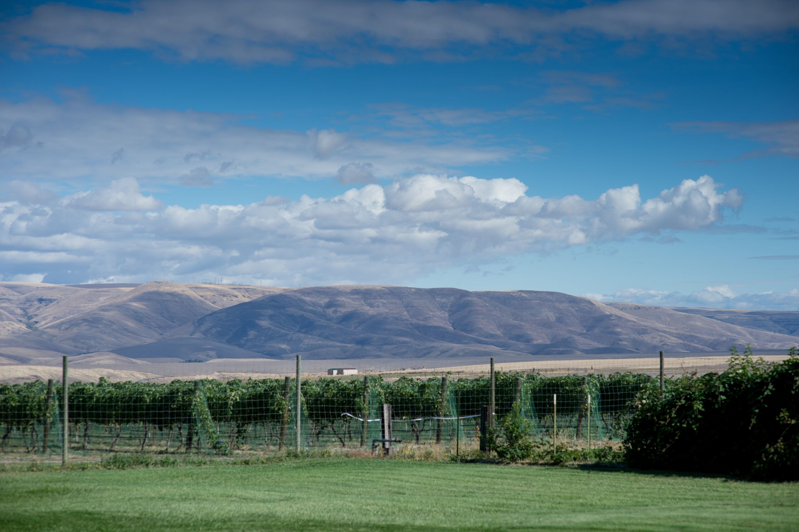 Lewis-Clark Valley Named Newest American Viticultural Area - Washington ...