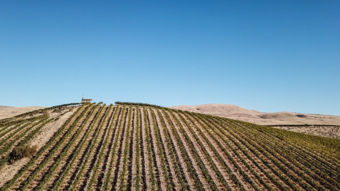 Regions & AVAs - Washington State Wine Commission