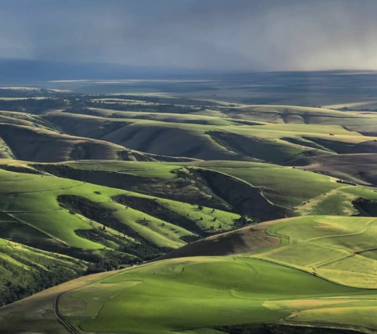 Walla Walla Valley Voted America's Best Wine Region - Washington State ...