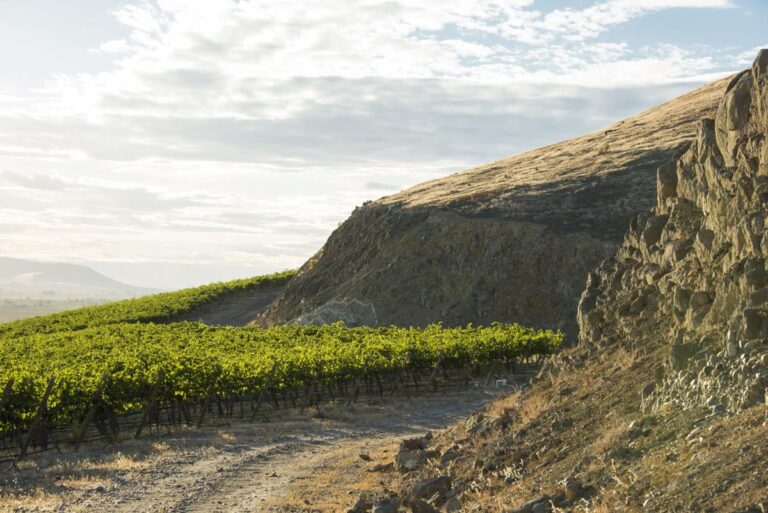 Snipes Mountain AVA - Washington State Wine Commission