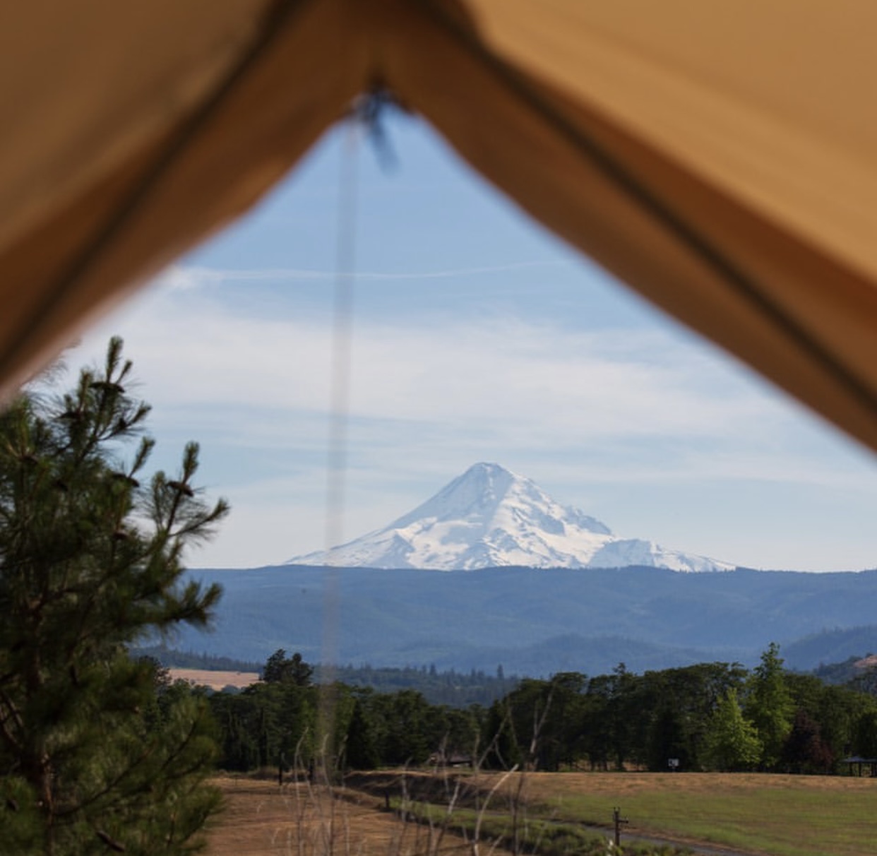 Visit Columbia Gorge AVA - Washington State Wine Commission