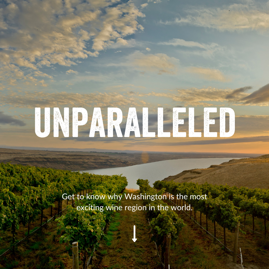 Washington Wine Launches New Website and Mobile App for August Wine ...