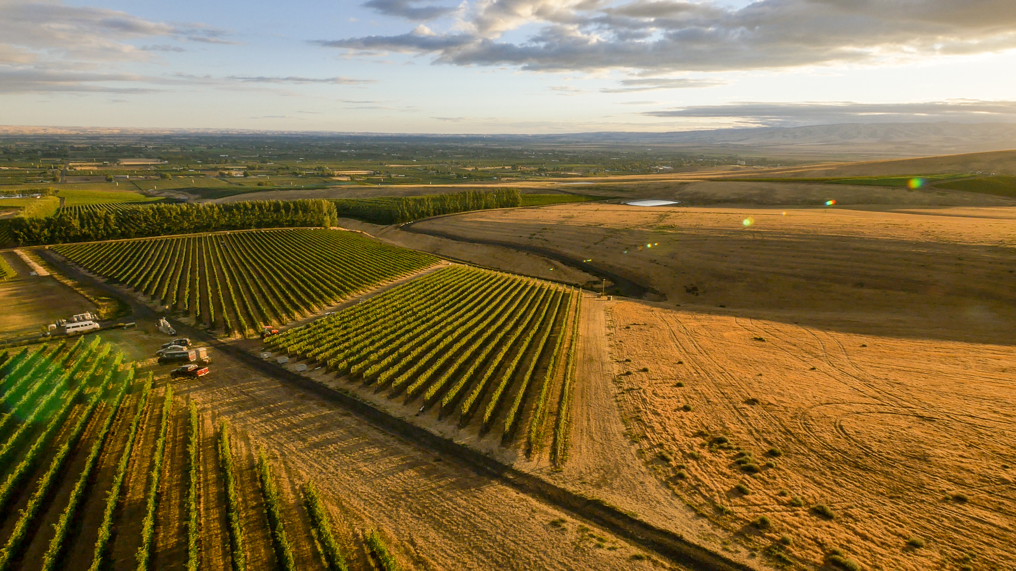 Discover Washington - Washington State Wine Commission