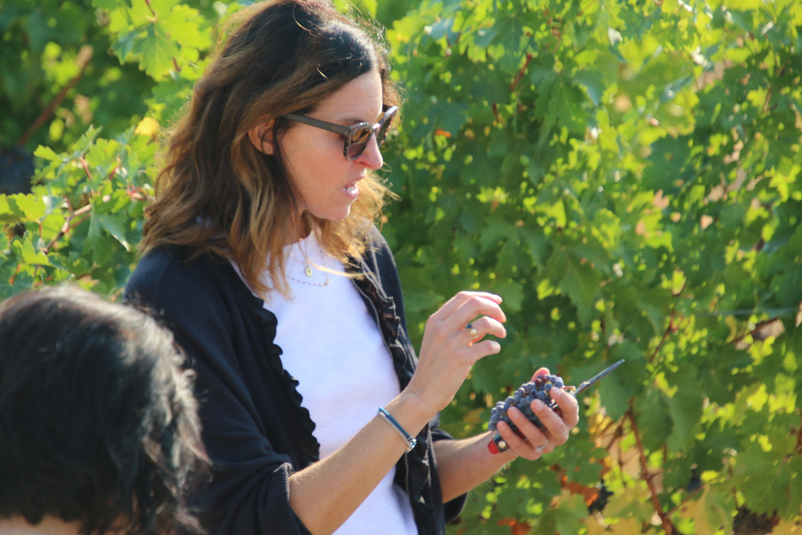 "We decided to certify our vineyards through Sustainable WA to showcase ...