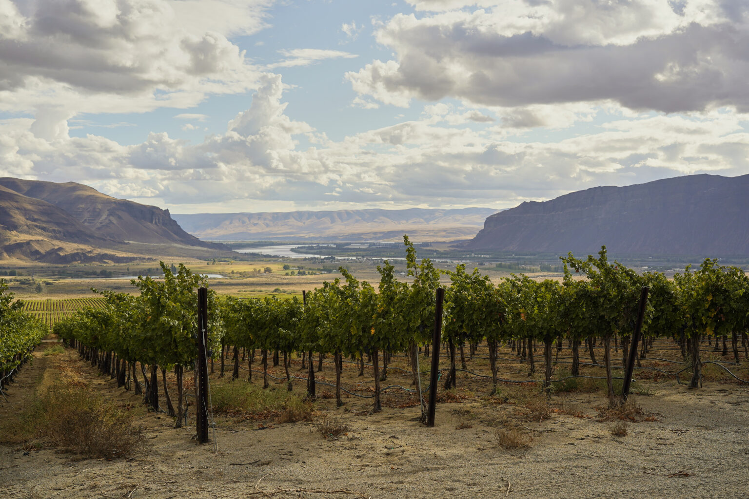 Beverly, Washington AVA - Washington State Wine Commission