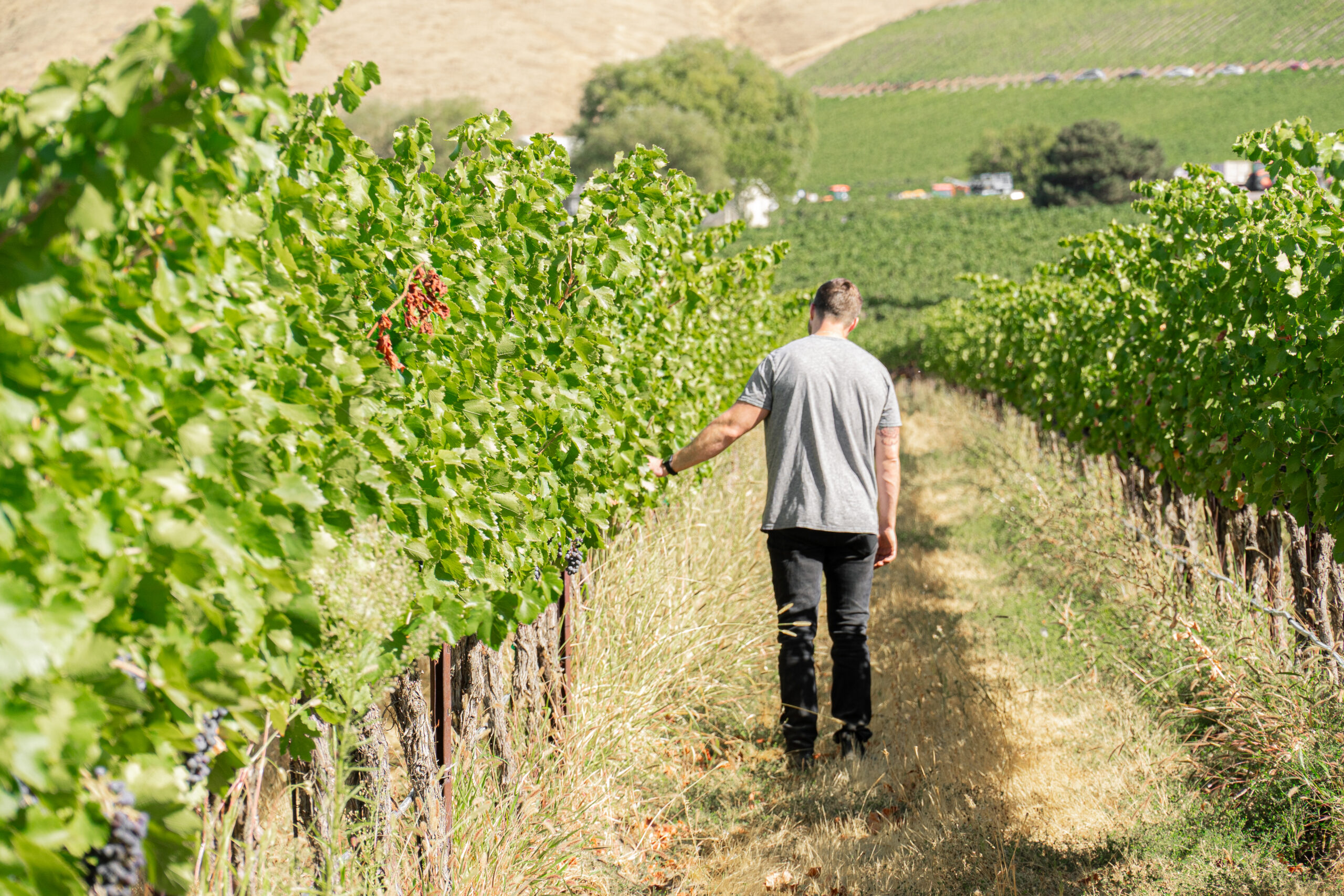 “Push the envelope to untap our fullest potential.” - Washington State ...