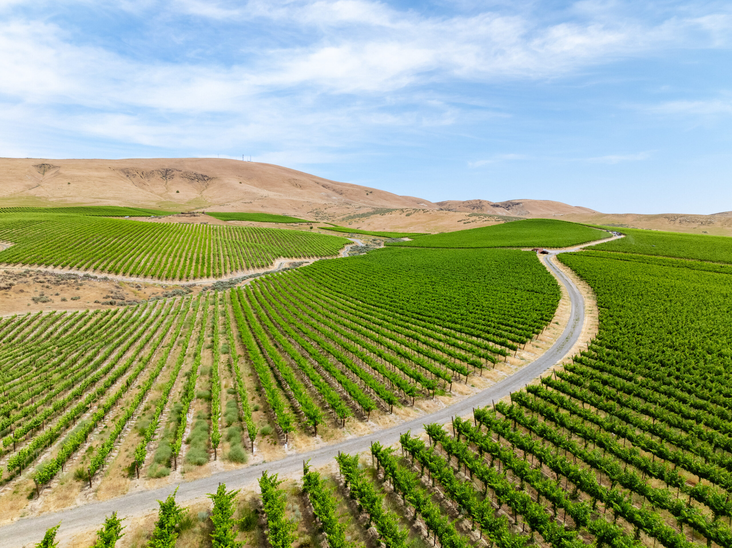 2025 Annual Report - Washington State Wine Commission